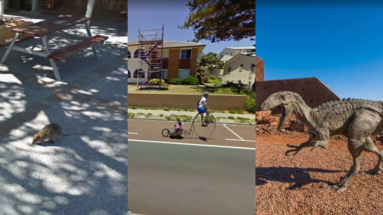 "Чалавек і яго пінгвін" - лепшае, што я калі-небудзь бачыў у Google Street View