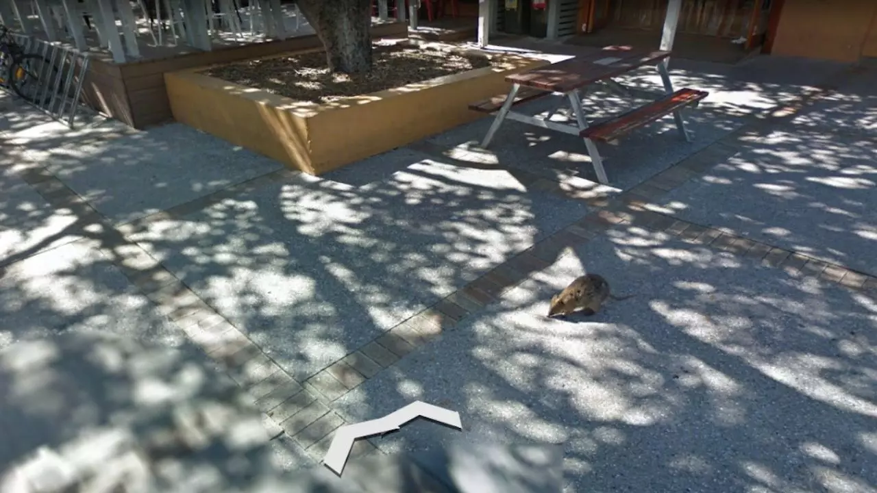 Google Street View Австралия