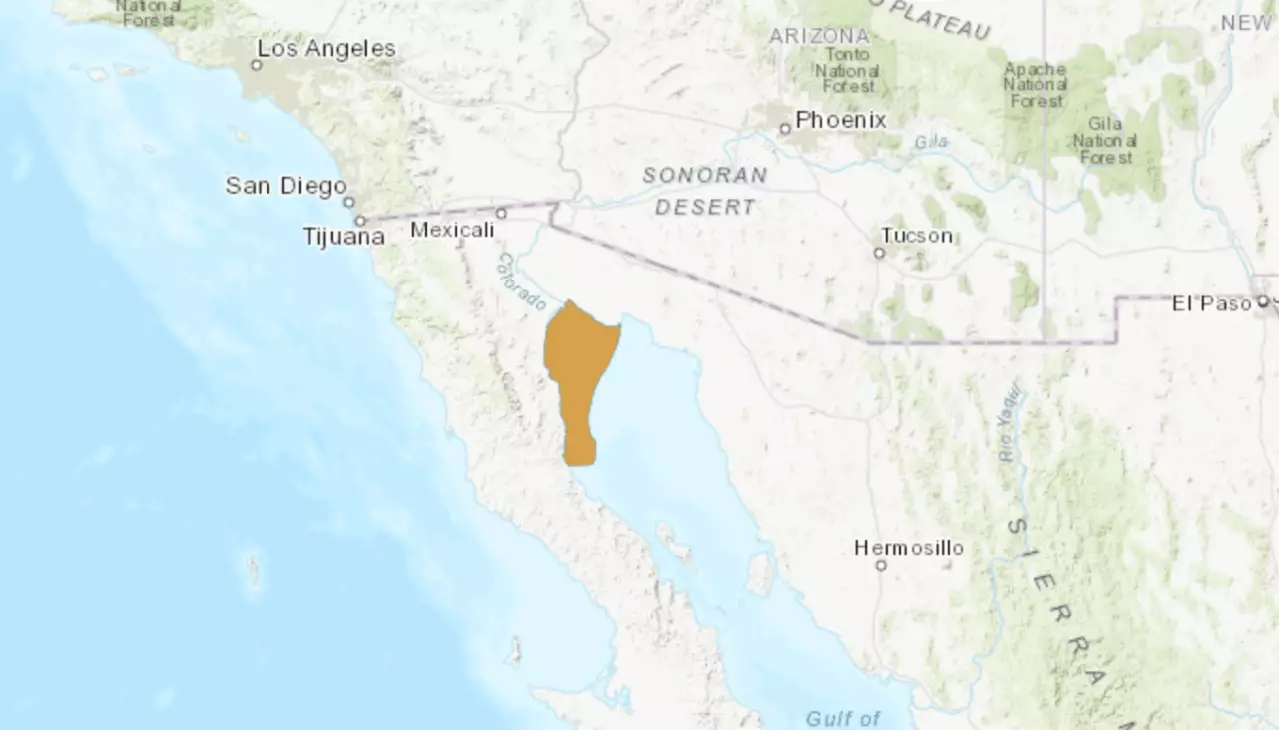 La popolazione di focene Vaquita in pericolo di estinzione ora meno di 19 individui