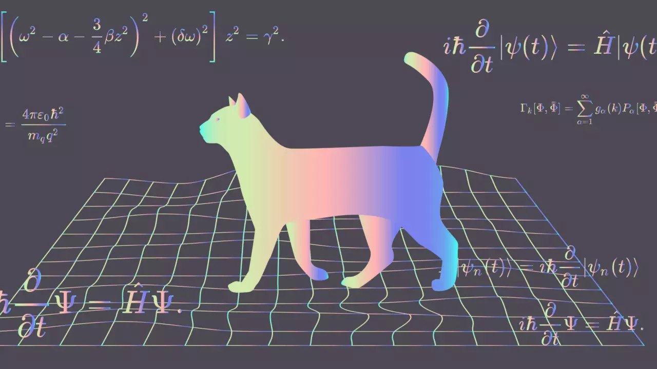 តើឆ្មា Schrödinger អាចមានវត្តមាននៅក្នុងជីវិតពិតដែរឬទេ?