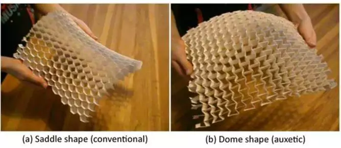 Le matériau inspiré des coquillages crée une nouvelle vague d'équipements de sécurité