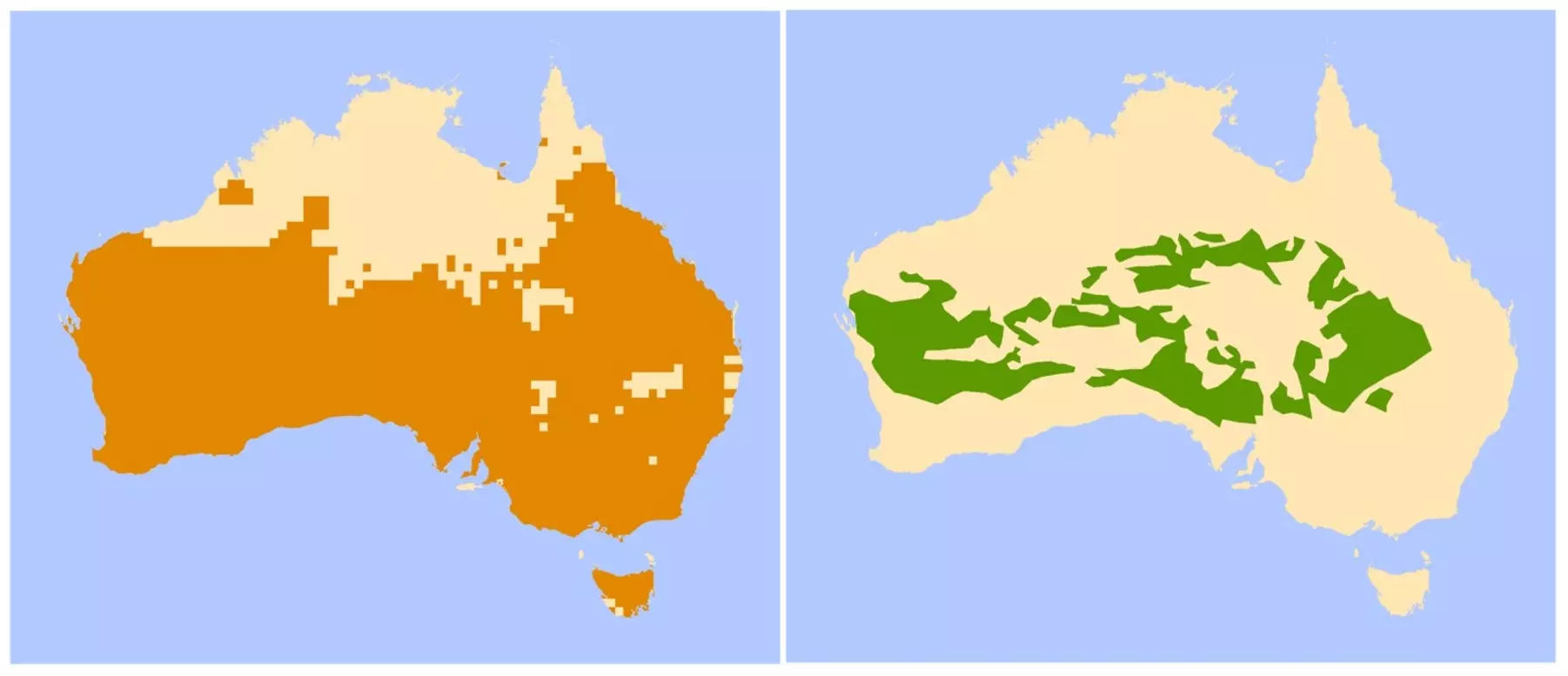 Die hase van Kersfees verlede: 'n hede wat teruggeskiet het vir Australië