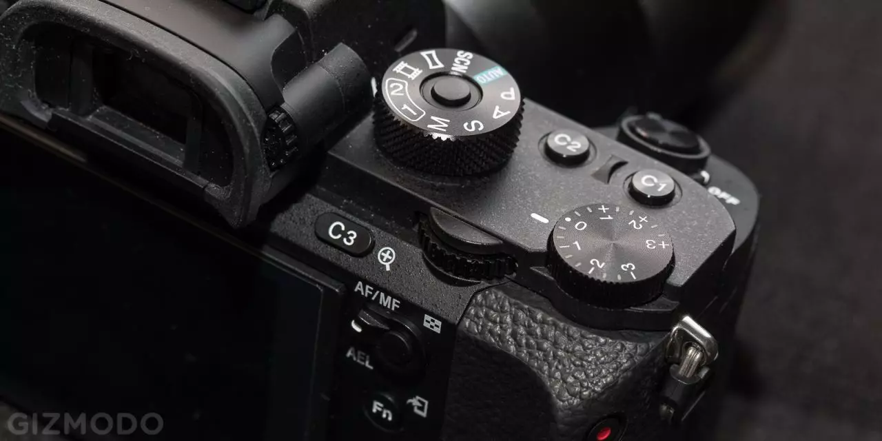 Sony A7R Mark II Review: een mooie droom die eindigt in tranen