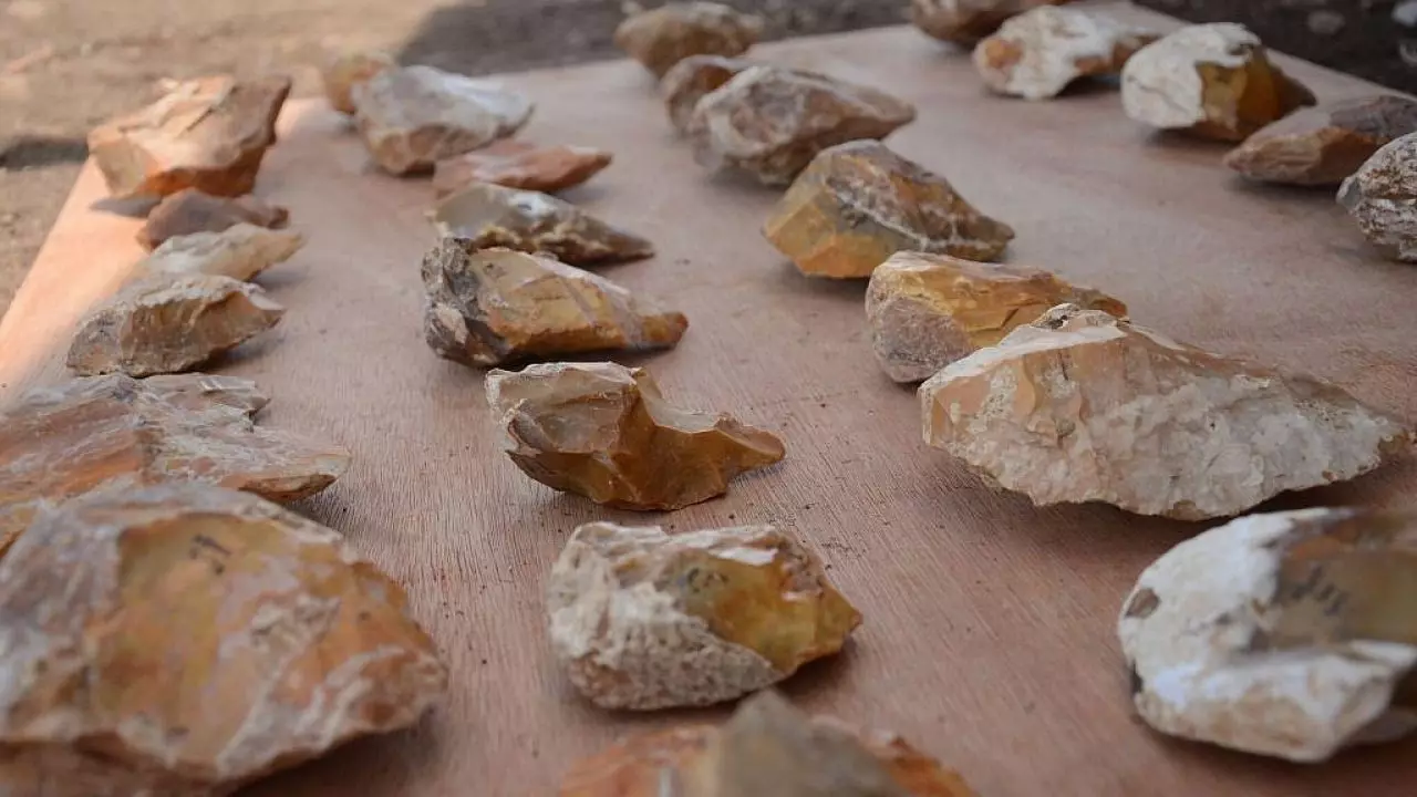 Hunderte von Steinwerkzeugen an prähistorischem „Picknickplatz“ entdeckt