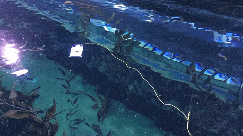 New, Ultrafast Swimming Drones iTiny Ocean Explorers