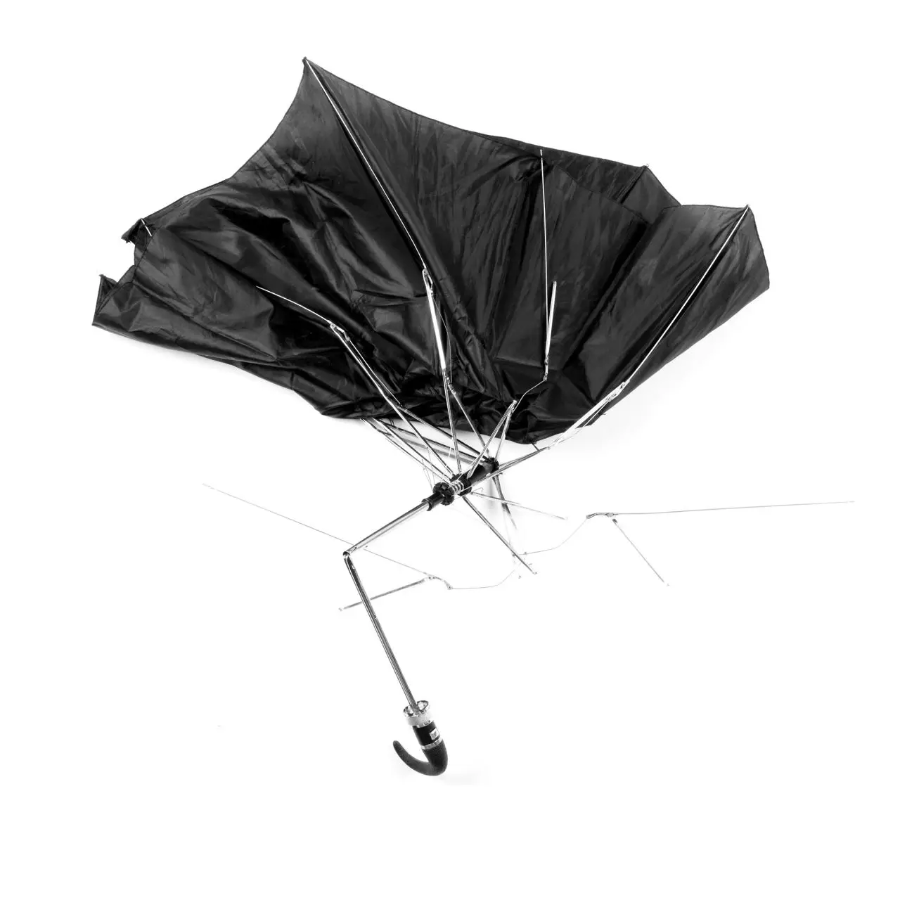 Lifoto tsa Umbrella tse Mangled li Behile Sejo sa Bophelo ba Toropo Pontšong