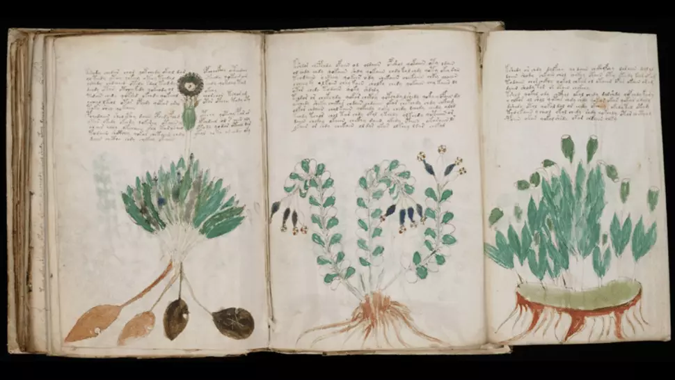 A intelixencia artificial puido romper un manuscrito de Voynich de 600 anos