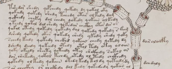Kënschtlech Intelligenz hu vläicht Freaky 600 Joer al Voynich Manuskript geknackt