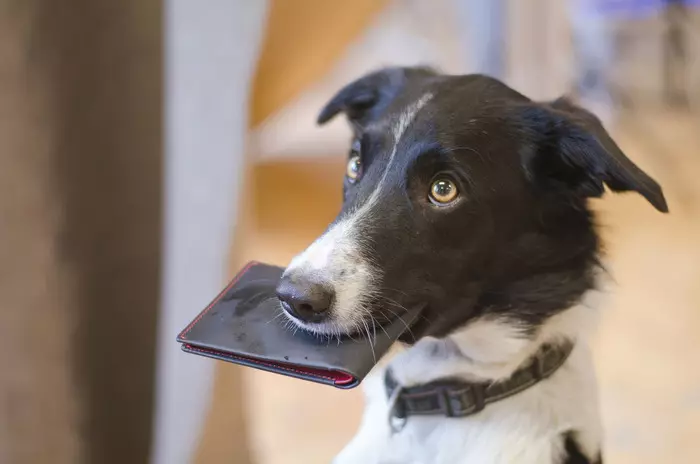 Doteraz som si neuvedomil, že potrebujem peňaženku Bluetooth