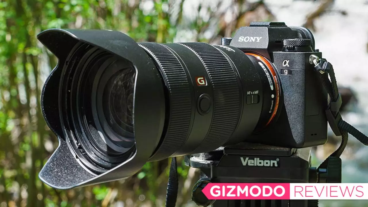 Sony A9 Kamera: Gizmodo syn