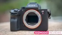 Sony A7R III apskats: jaunais bezspoguļkameru karalis