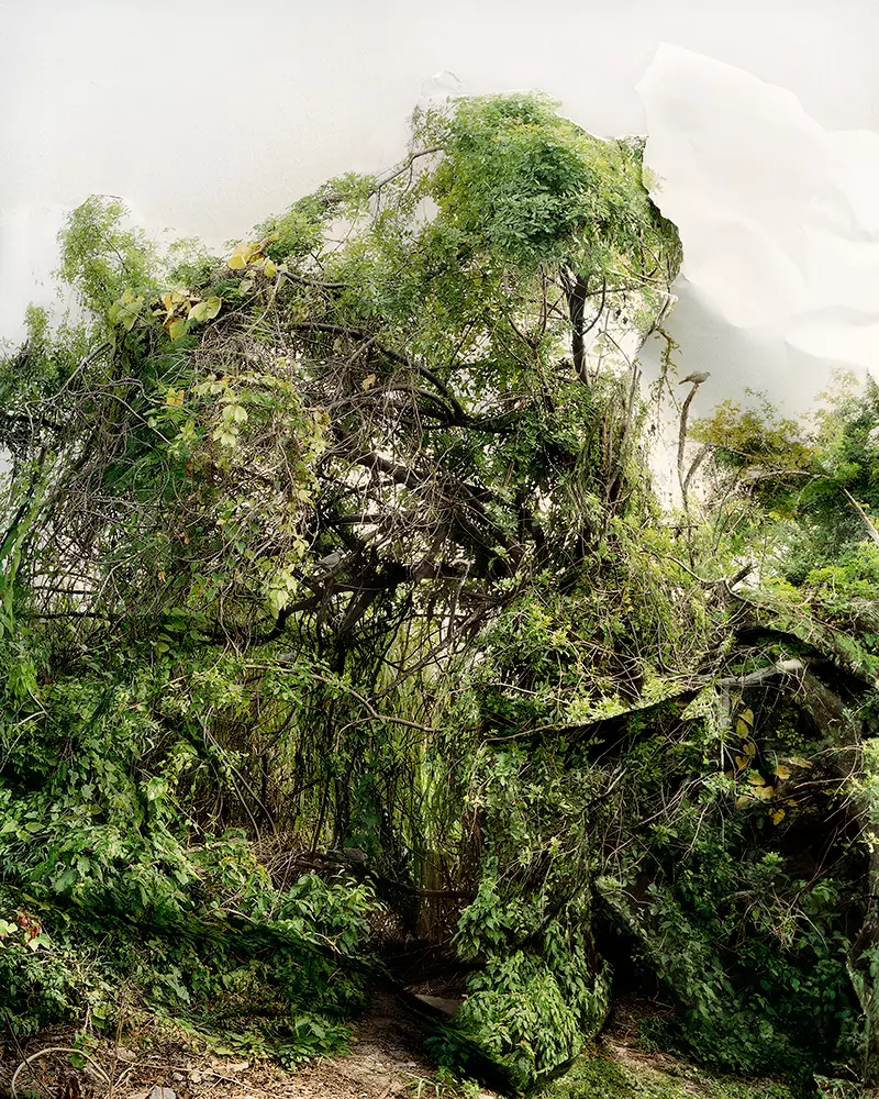 Vervormde landschapsfoto's zullen je realiteitszin verdraaien