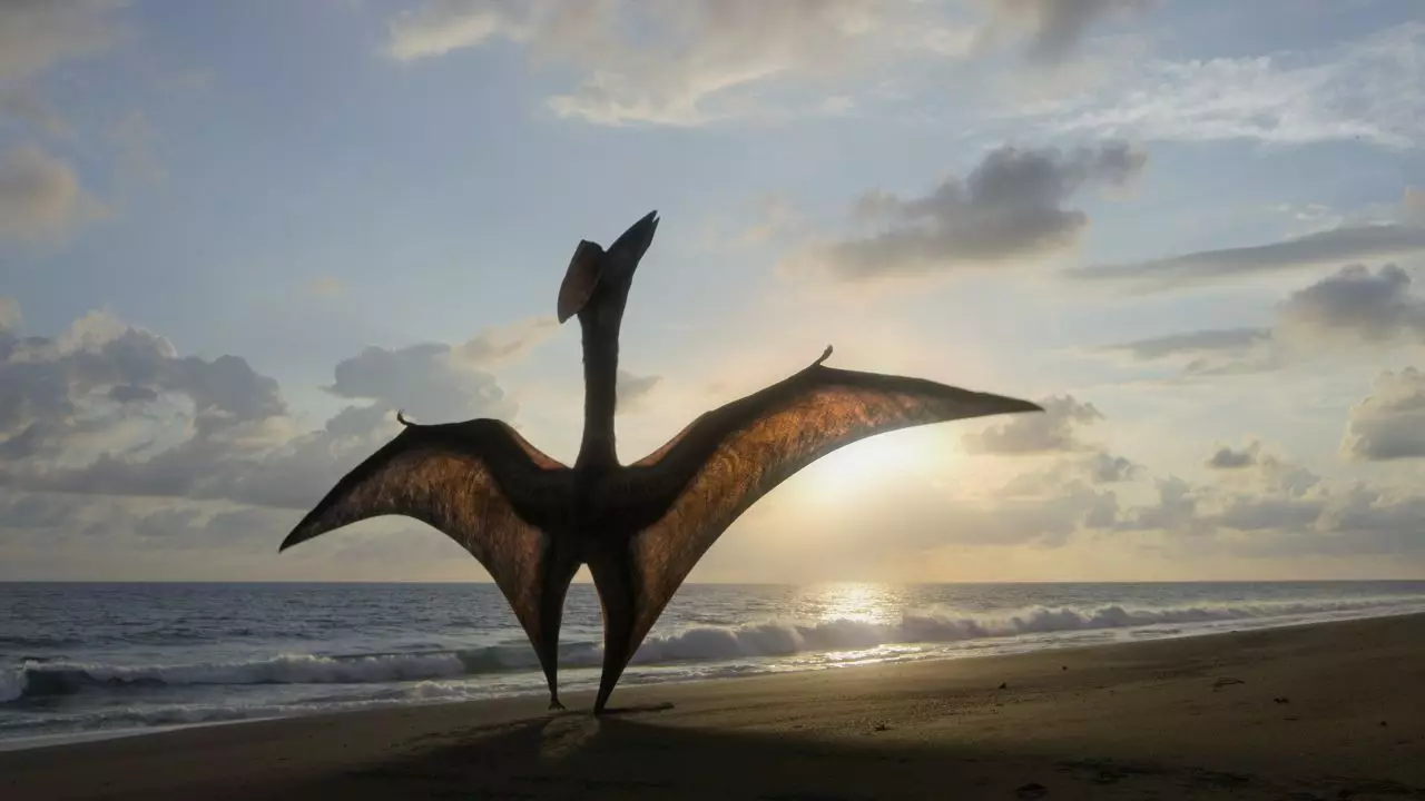 Hatzegopteryx, o le Cretaceous pterosaur, fa'aloloa i luga o le matafaga. (Ata: Apple)
