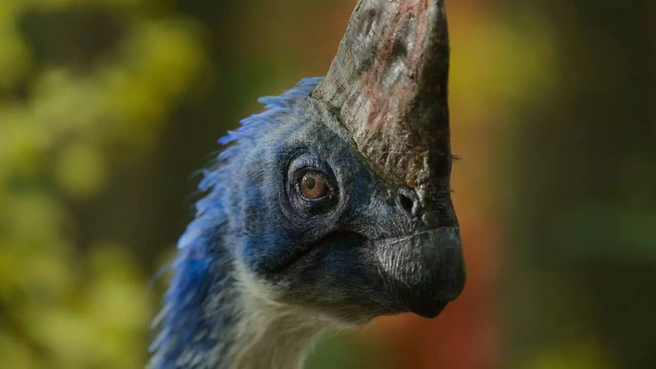 I-Corythoraptor, idayinaso efana nenciniba. (Umfanekiso: Apple)