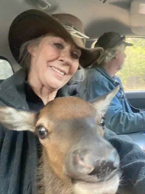 Cinder selfie: çiftlik sahipleri Lisa ve Carl Bartley ile sürüş.