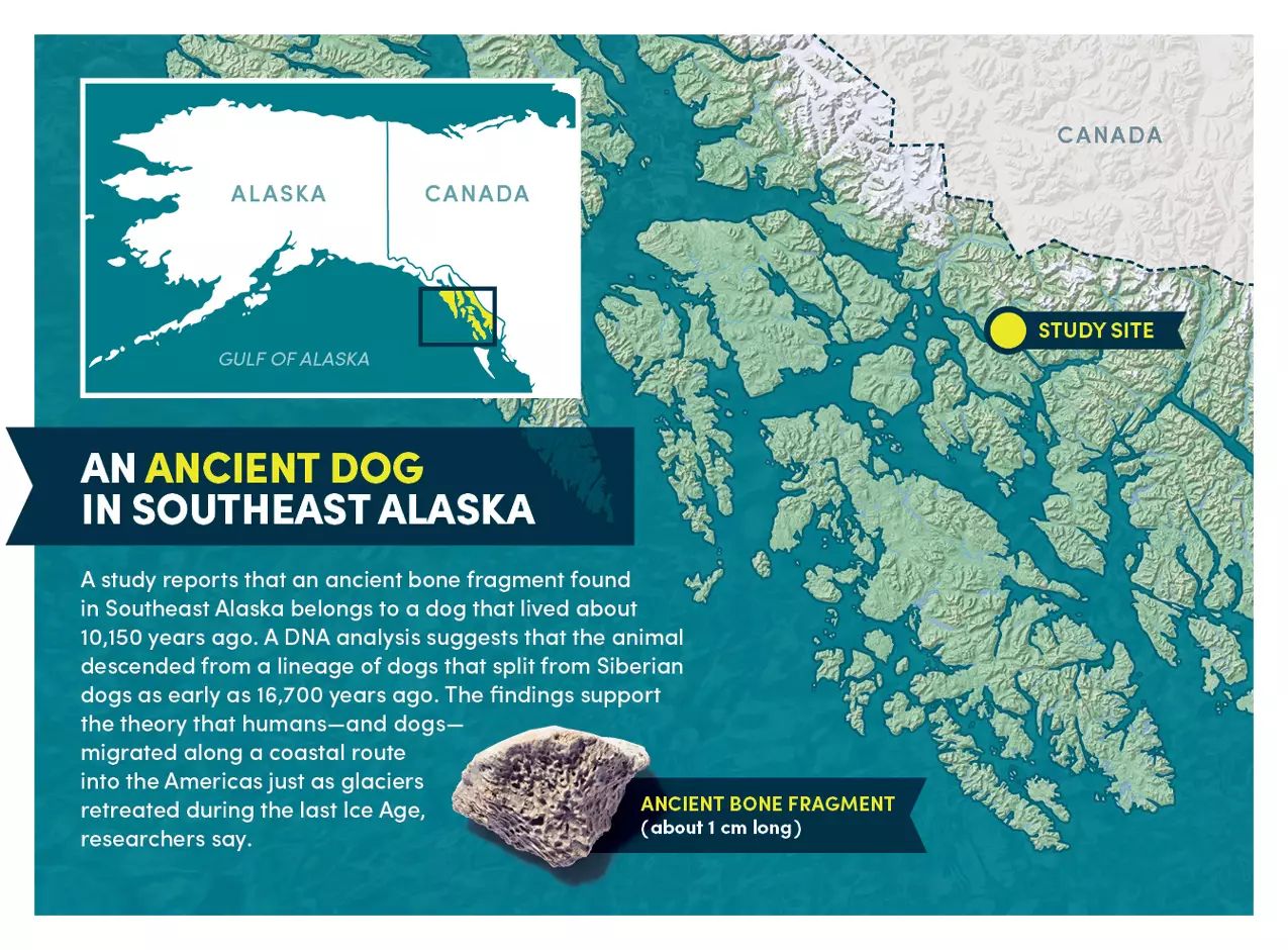 Un mapa que mostra on es va trobar el fragment d'os. (Imatge: Bob Wilder/Universitat de Buffalo)