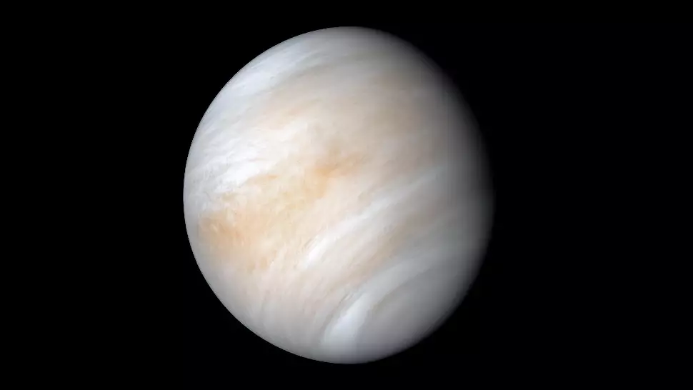 Veduta ta' Venere li għadha kif ġiet ipproċessata kif dehret mis-sonda Mariner 10 fl-1974. (Immaġni: NASA/JPL-Caltech)