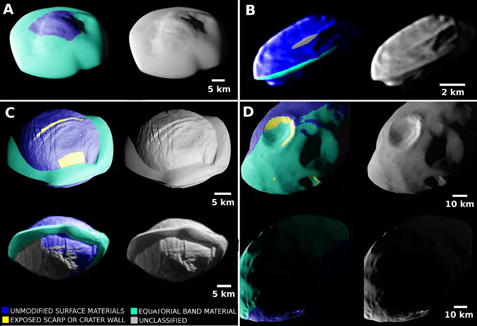 Mapas mostrando feições geológicas segmentadas do Atlas (A), Daphnis (B), Pan (C) e Pandora (D). (Imagem: NASA/JPL-Caltech/Space Science Institute/B. J. Buratti et al., 2019/Science)