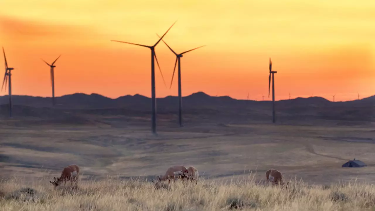 Sunce i vjetar mogli bi biti dominantan izvor energije u SAD-u do 2030