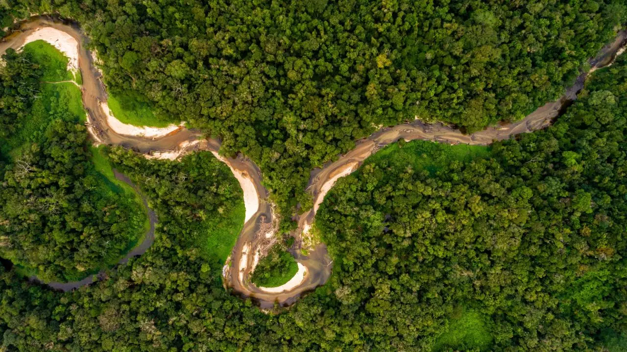 Τι θα συνέβαινε αν κόψαμε το τροπικό δάσος του Αμαζονίου;