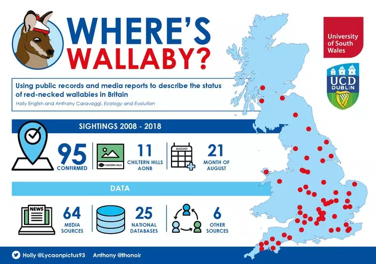 Karte mit Wallaby-Sichtungen in Großbritannien, hauptsächlich in Südengland.