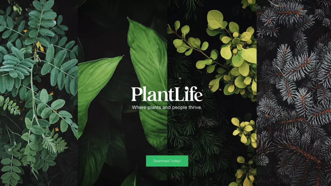 PlantLife е най-чистата социална платформа, която някога съм опитвал