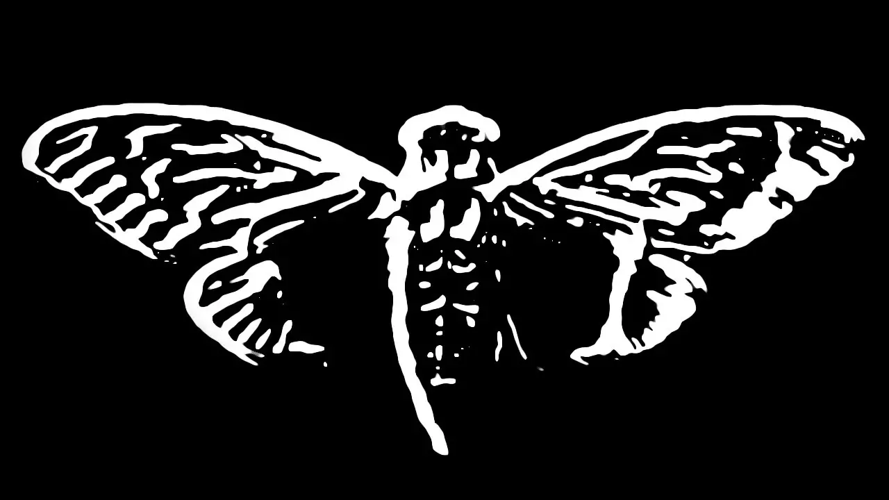 Cicada 3301: Interneti kõige salapärasemate krüptograafiliste mõistatuste taga