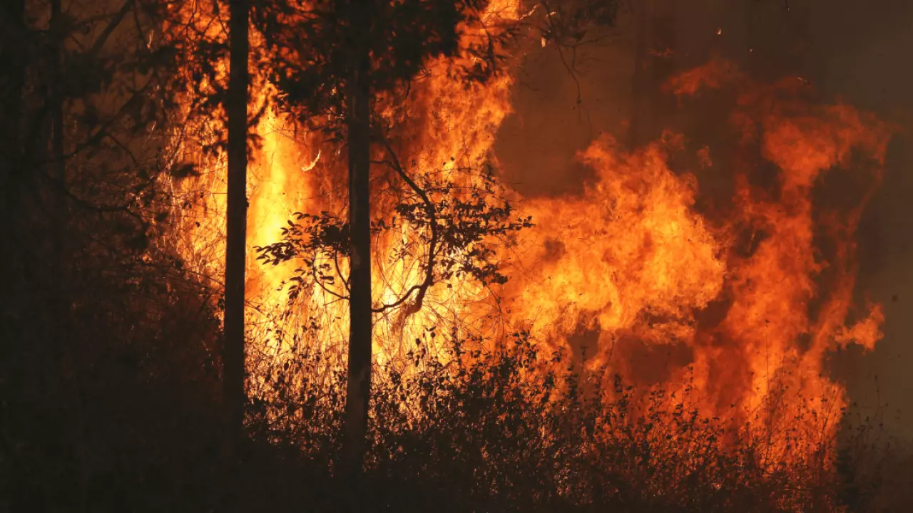 Australski Bush možda nikad više neće biti isti