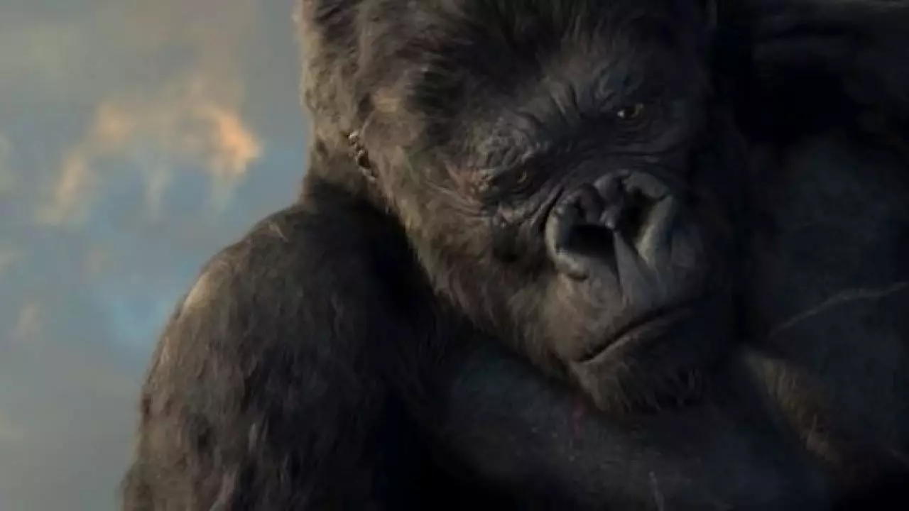 Maýmyn biznesi: King Kong-yň filmlerindäki 84 ýyllyk iň ýokary we pes taraplary