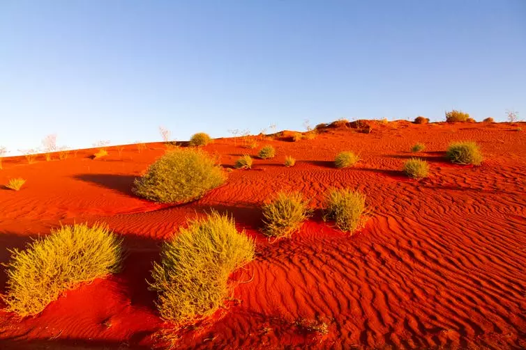 Punane liiv ja rohukõrred