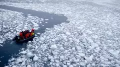 Antarktický mořský led letos havaroval a vědci nevědí proč