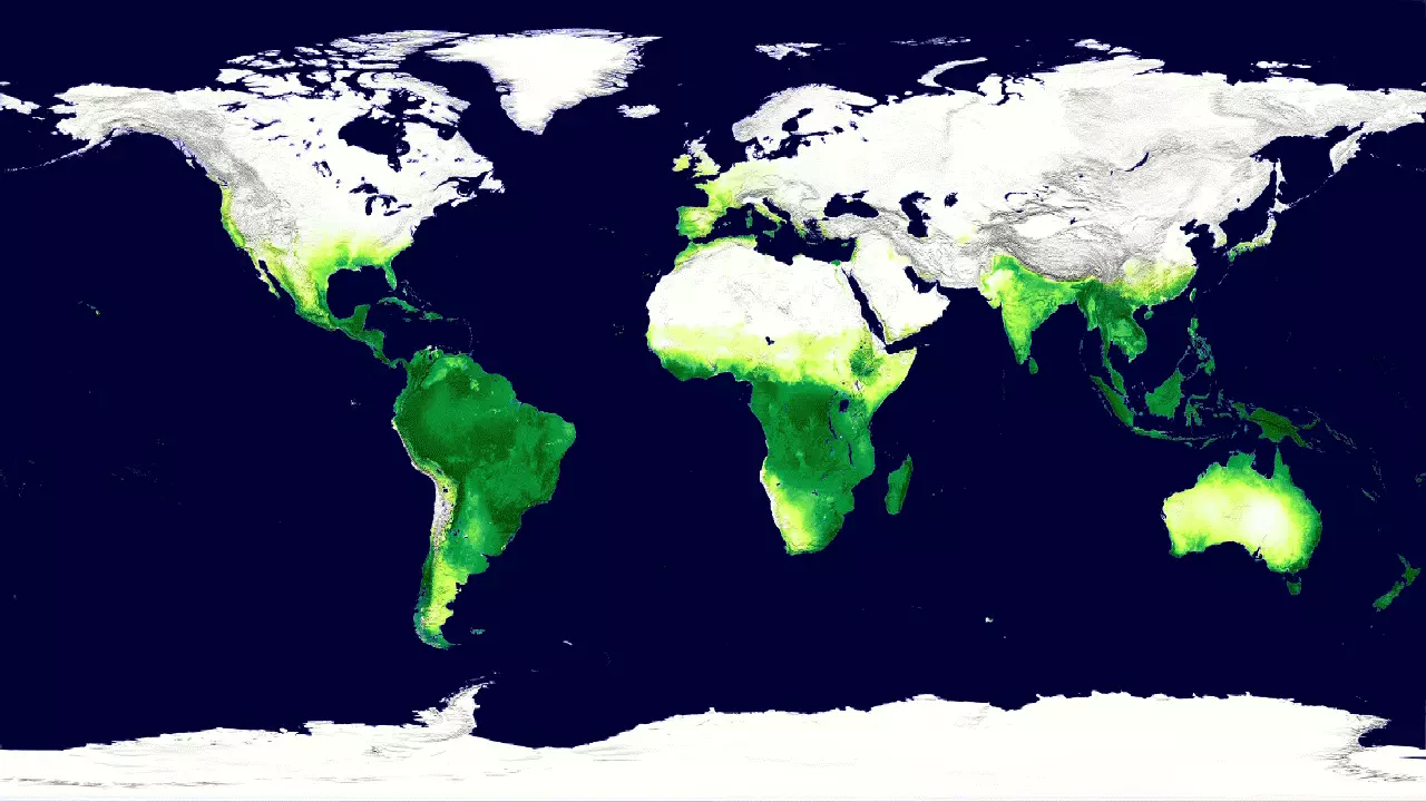 การทำลายแผนก Earth Science ของ NASA จะส่งงานวิจัยกลับสู่ยุคมืด