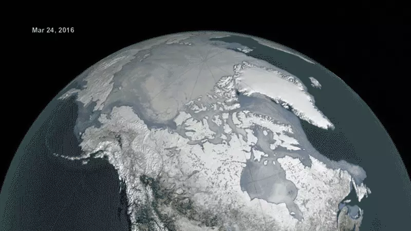 Dramatiese visualiserings wys hoe vinnig die Arktiese gebied smelt