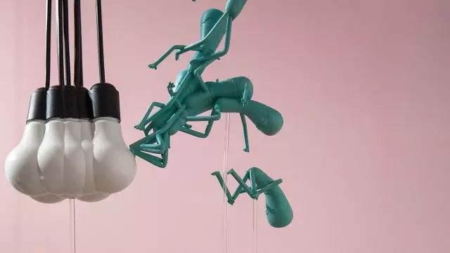 Animation megharịrị okpokolo agba site na okpokolo agba na ndụ n'ezie na mbipụta 3D
