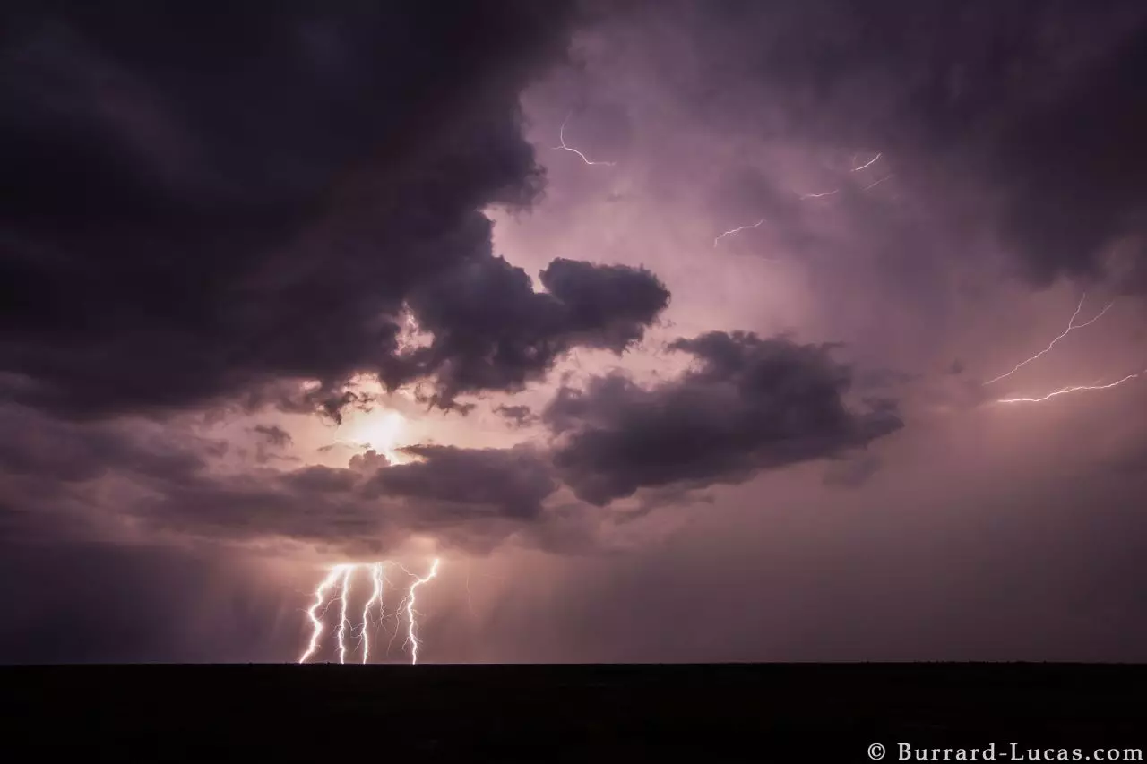 13 Foto Perangkap Kaméra Sensasi Sato Afrika Peuting