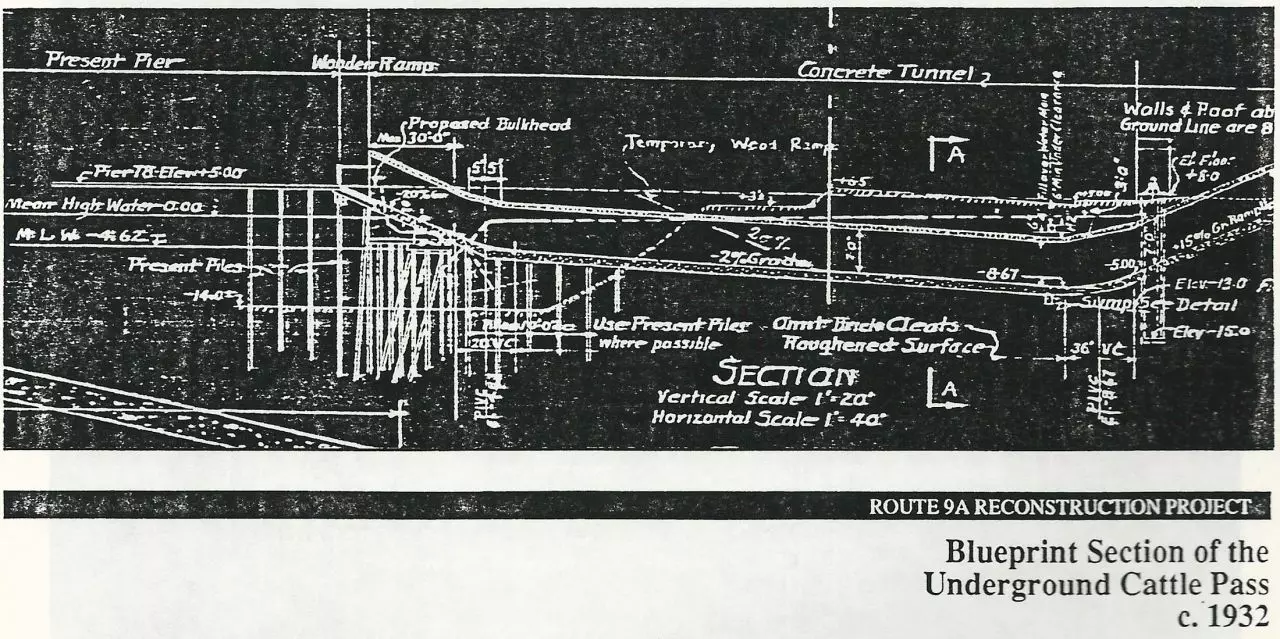 New Yorkin kadonneet lehmän tunnelit