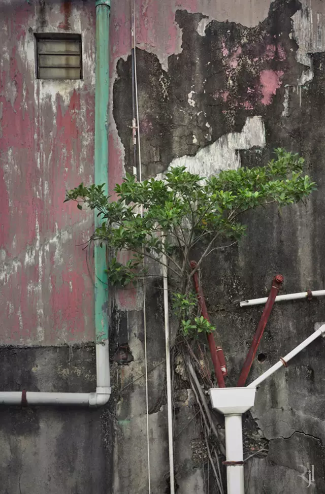 Ove post-apokalipsne slike Hong Konga su zapravo stvarne fotografije