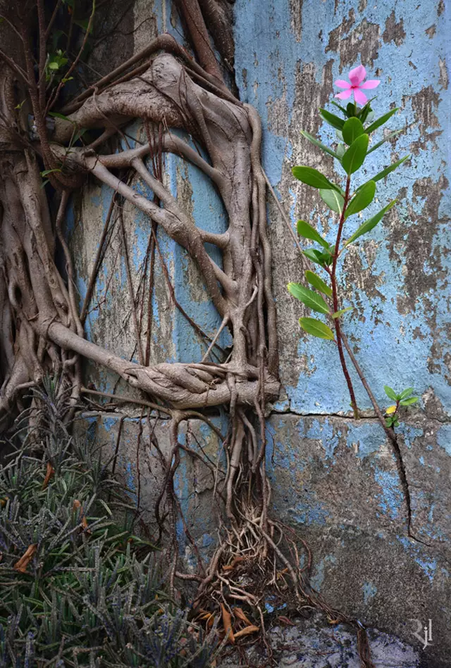 Litšoantšo tsena tsa Post-Apocalypse Of Hong Kong ke Lifoto tsa Sebele