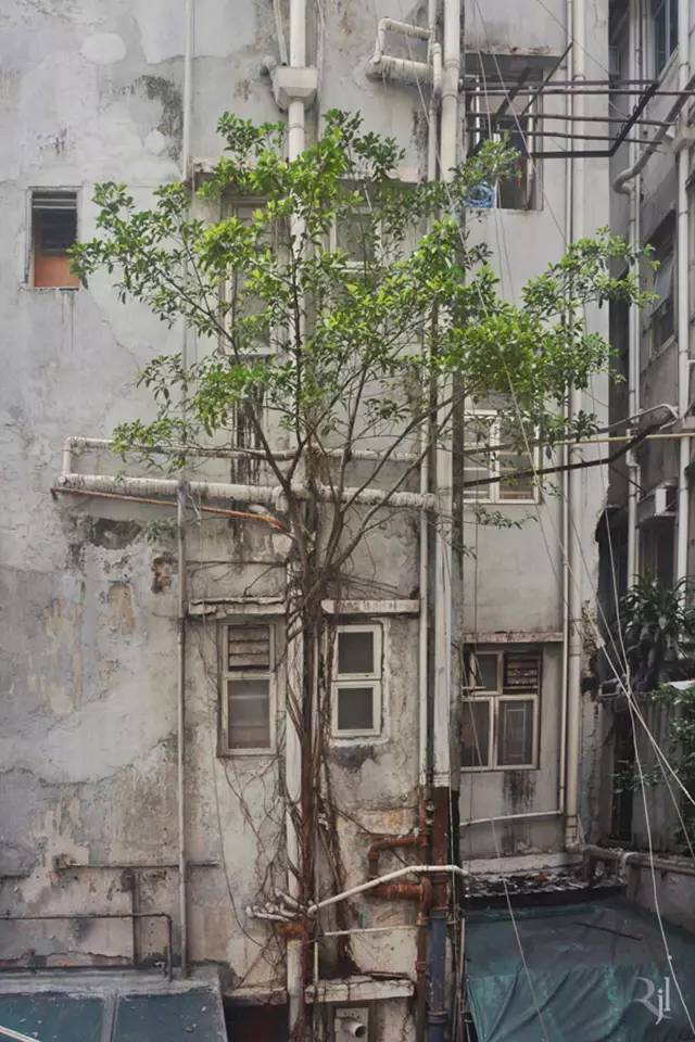 Imaj Post-Apocalypse sa yo nan Hong Kong se aktyèlman foto reyèl