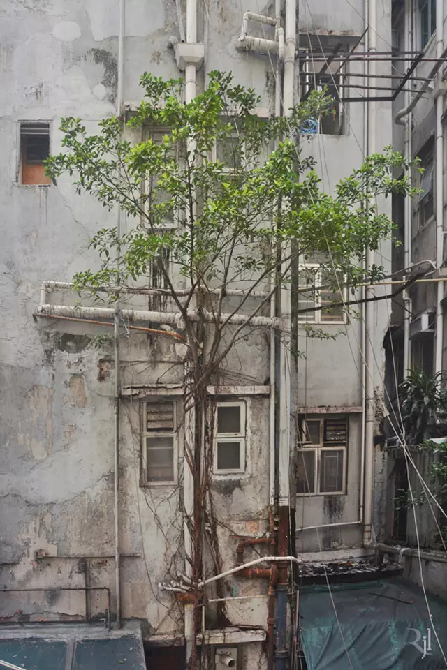 Hizi Picha za Baada ya Apocalypse Za Hong Kong Ni Picha Halisi