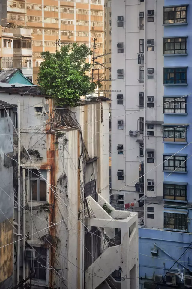 Hizi Picha za Baada ya Apocalypse Za Hong Kong Ni Picha Halisi