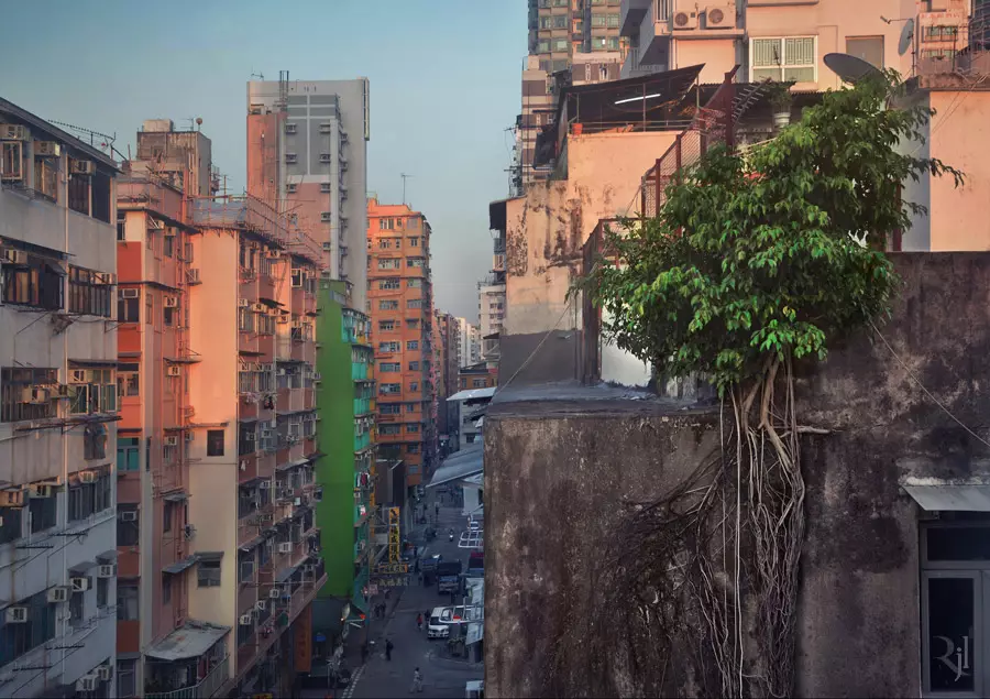 Hizi Picha za Baada ya Apocalypse Za Hong Kong Ni Picha Halisi