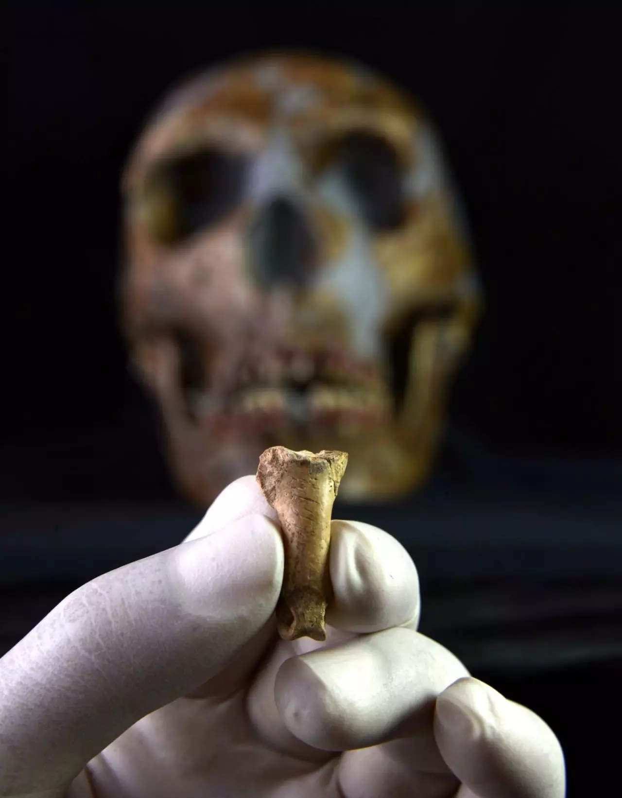 Enn fleiri sönnunargögn fyrir því að Neanderdalsmaðurinn Bling innihélt örnarklóma