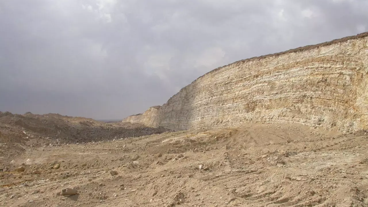 Ursprungsmysteriet med forntida noshörningsliknande däggdjur löst av 55 miljoner år gammalt fossil