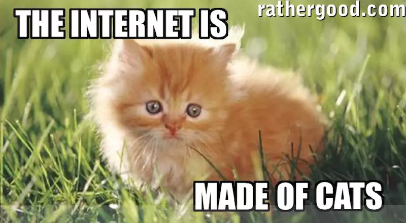 ทำไมแมวถึงครองอินเทอร์เน็ตแทนสุนัข