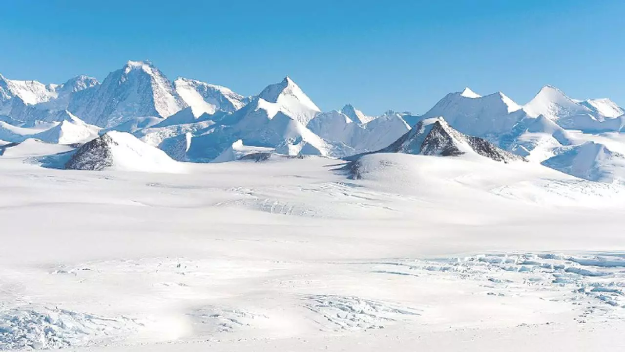 In waanzinnig lyts stikje Antarktika is net begroeven yn iis