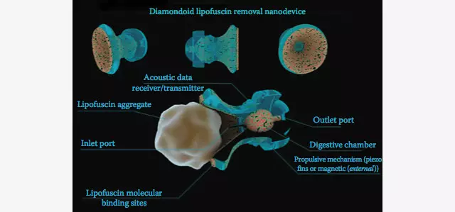 Kako bo medicinska nanotehnologija za vedno spremenila človeštvo