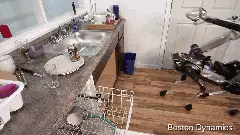 Guarda questo robot cane stranamente agile che lava i piatti
