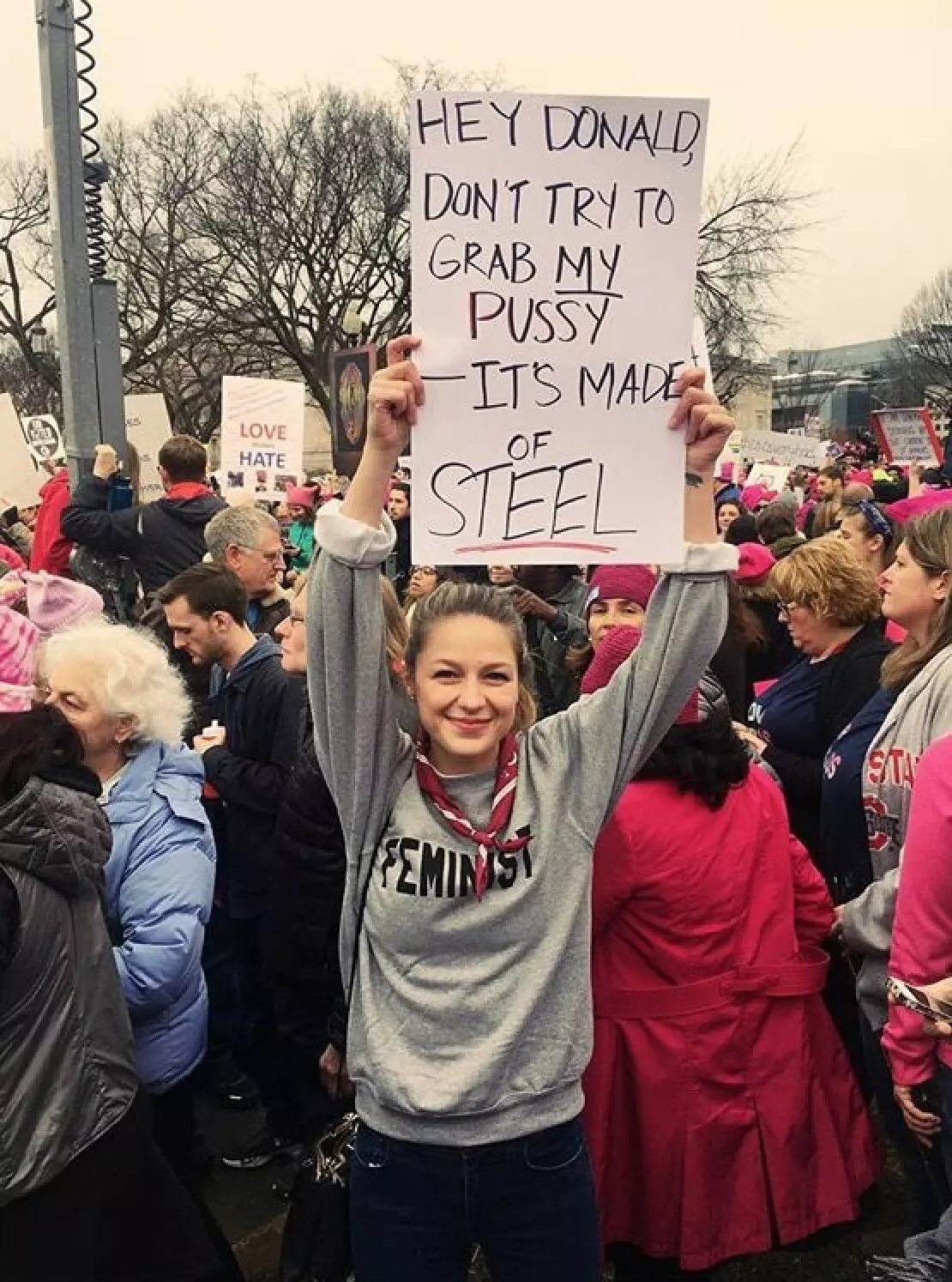 Women's March Demonstranten Salut Rebell Held Prinzessin Leia