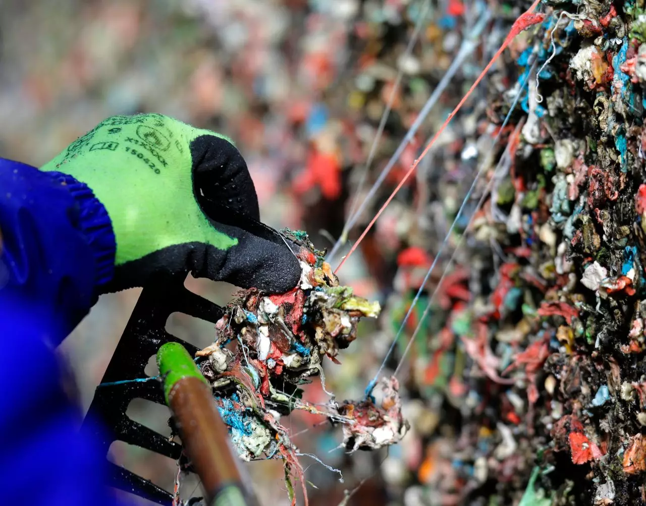 Seattleko oietako horma ospetsua adreilu biluziraino garbitzen ari dira